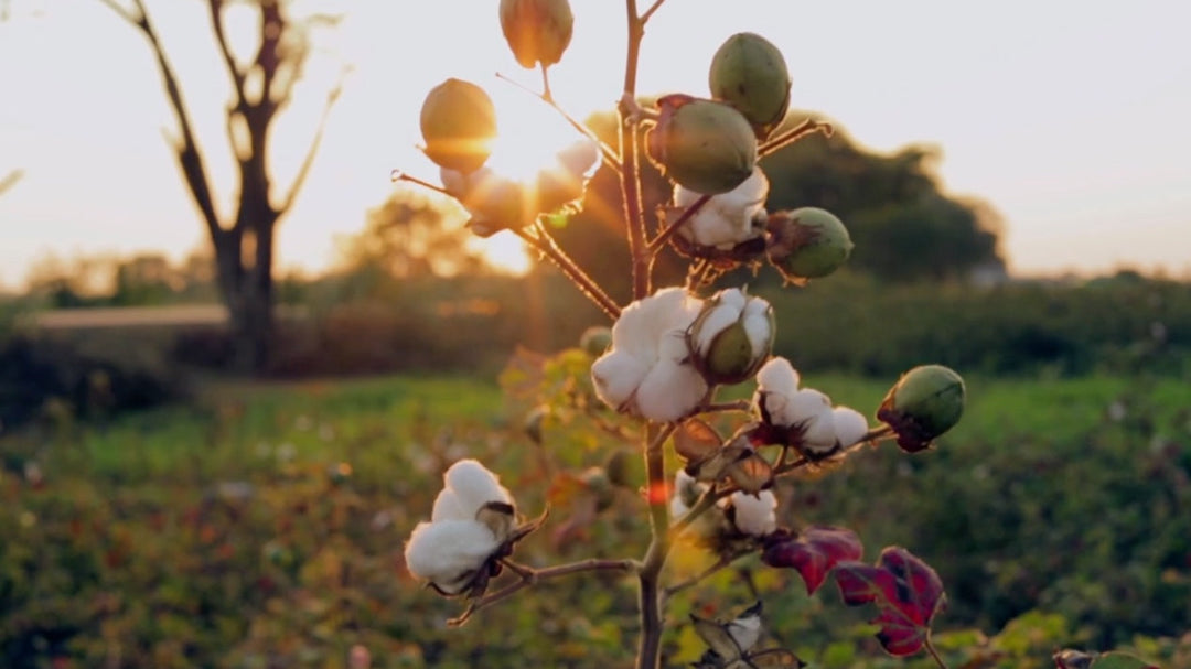 Nature Baby: Organic Baby Clothes & Natural Baby Products – Nature Baby NZ